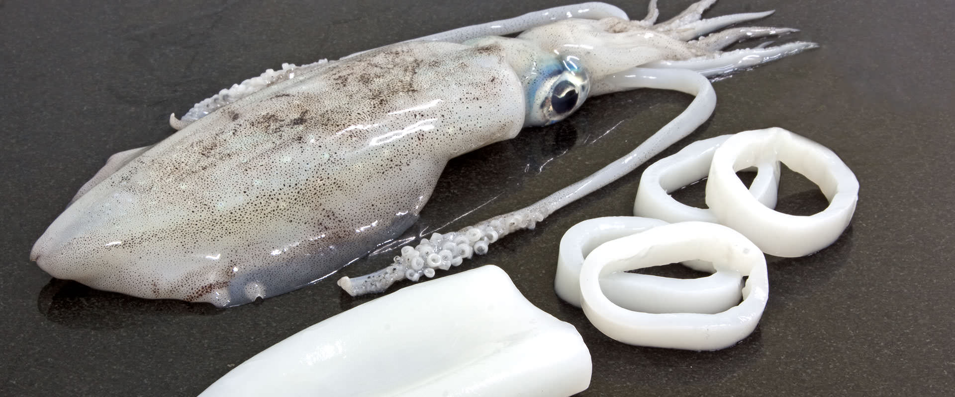 Marine – Alpha Sea Food