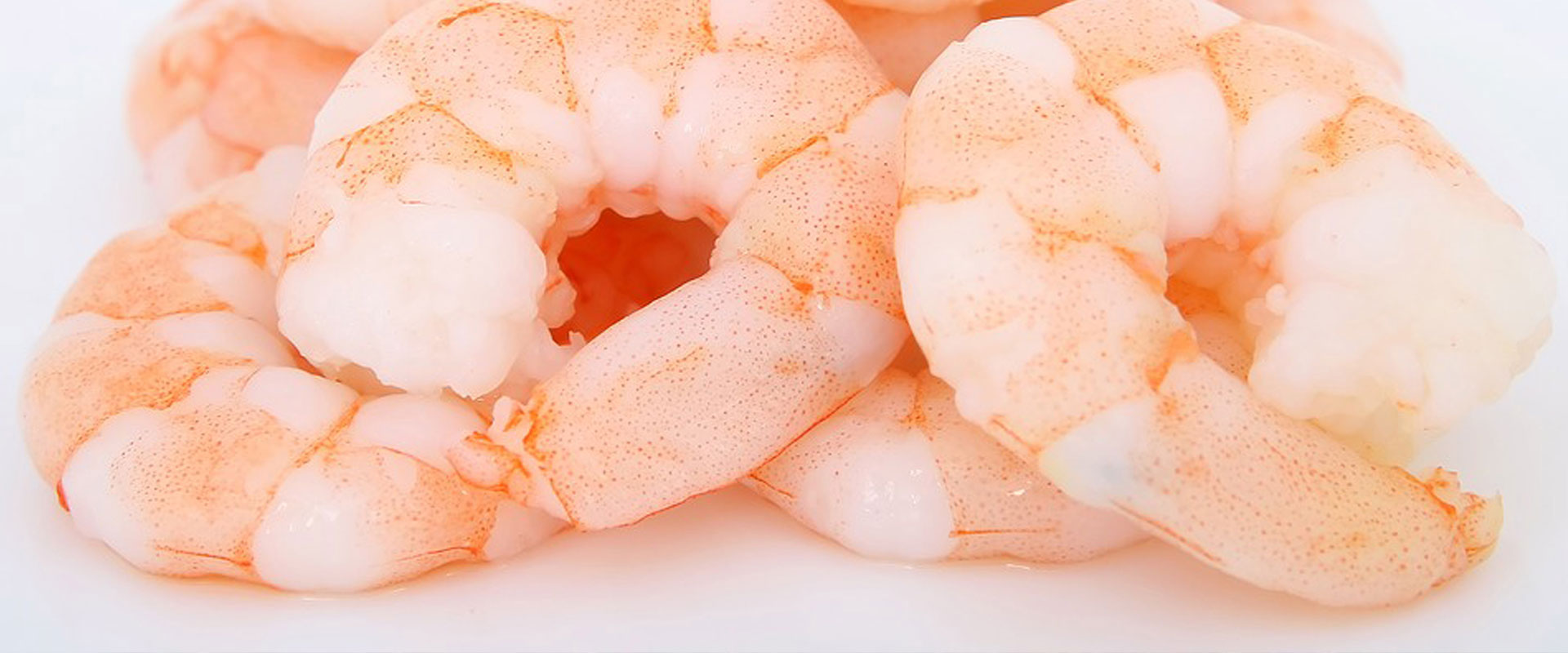 Marine – Alpha Sea Food