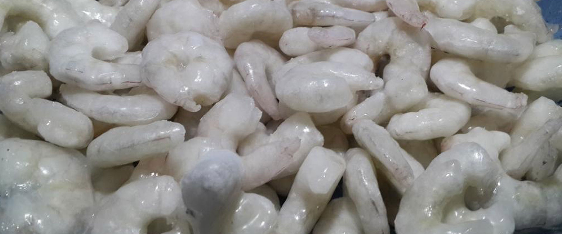 Marine – Alpha Sea Food