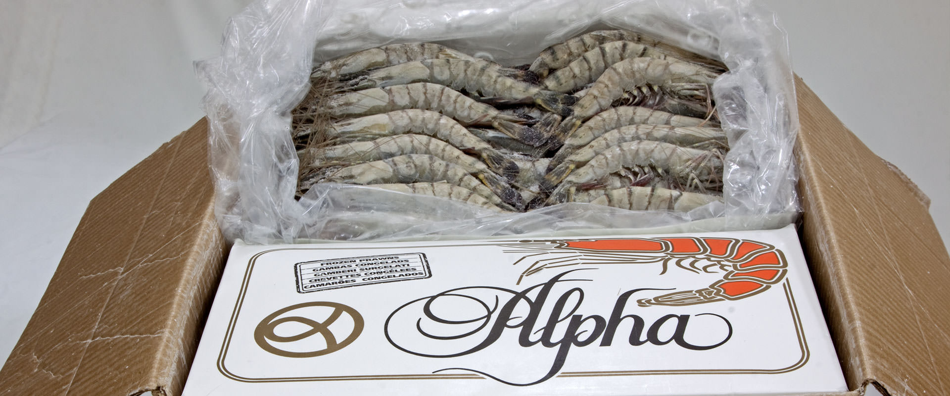 Marine – Alpha Sea Food