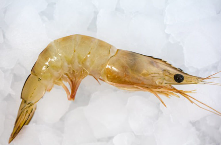 Products – Alpha Sea Food